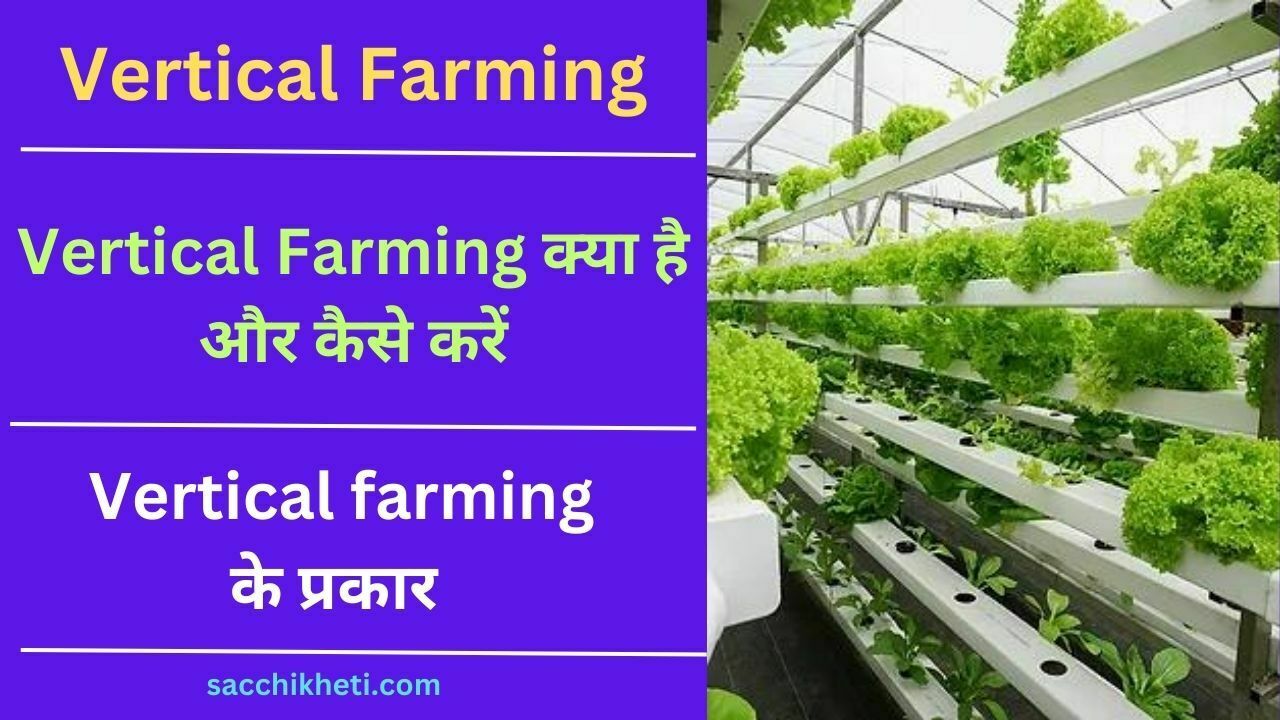 Vertical Farming क्या है और कैसे करें | Vertical Farming In Hindi