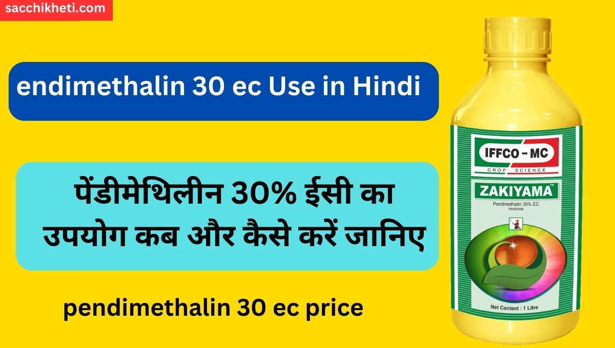 पेंडीमेथिलीन 30% ईसी का उपयोग कब और कैसे करें जानिए | Pendimethalin 30 ...