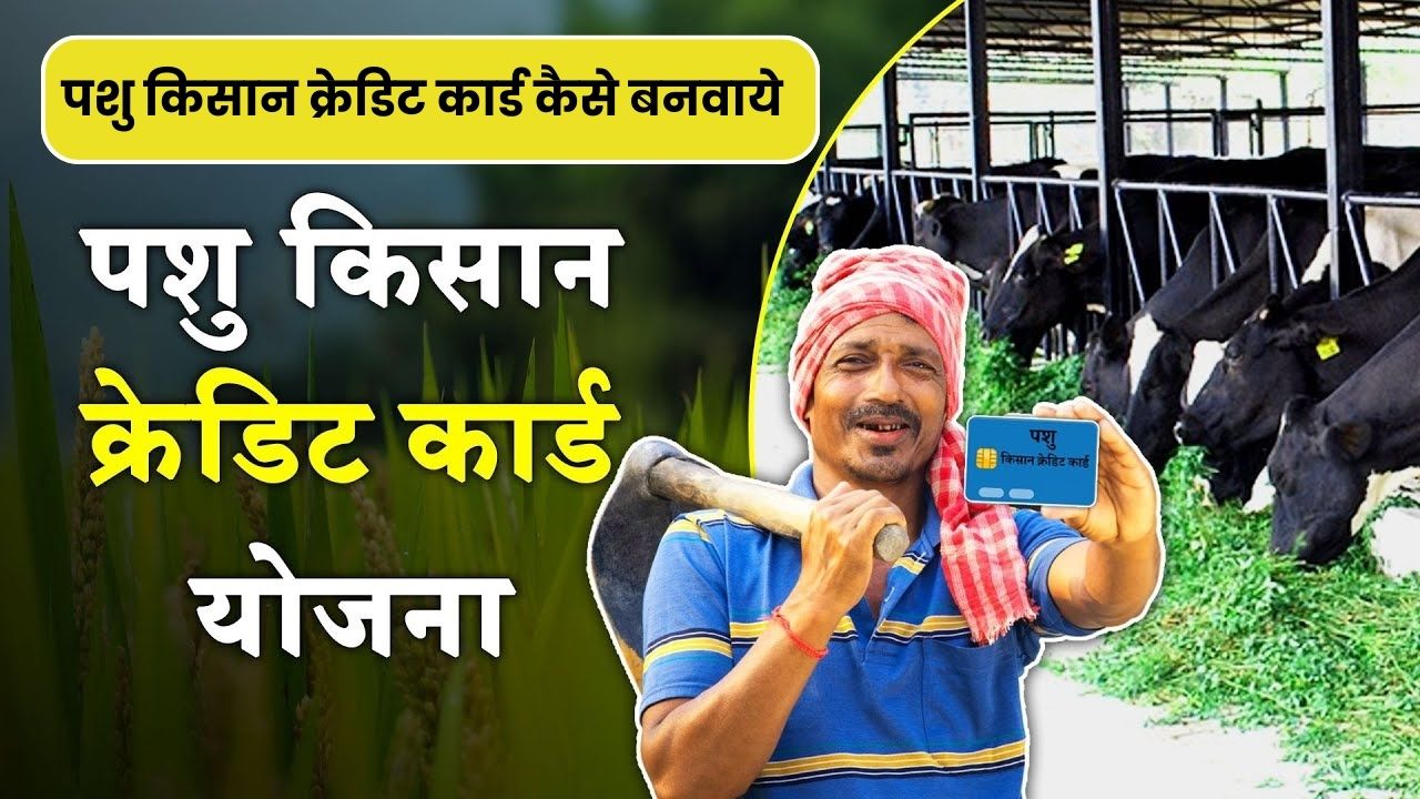 पशु किसान क्रेडिट कार्ड 2024 | पशु किसान क्रेडिट कार्ड कैसे बनवाये ...