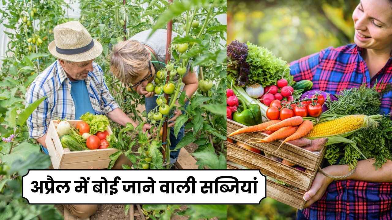 अप्रैल में बोई जाने वाली सब्जियां 2026 | April Me Boi Jane Wali Sabjiya ...
